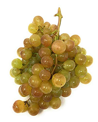 Amazon.com: Muscat Grapes, 1 lb : Grocery & Gourmet Food