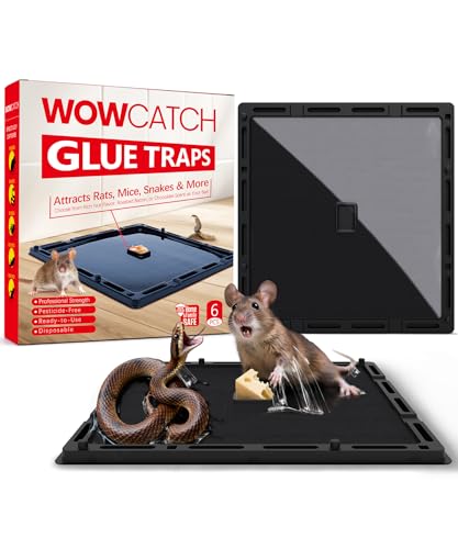 Best Sticky Mats for Rats: Safe, Durable Solutions for Home Pest ...