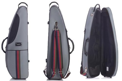 5 Best Violin Brands for Advanced Students | NewViolinist