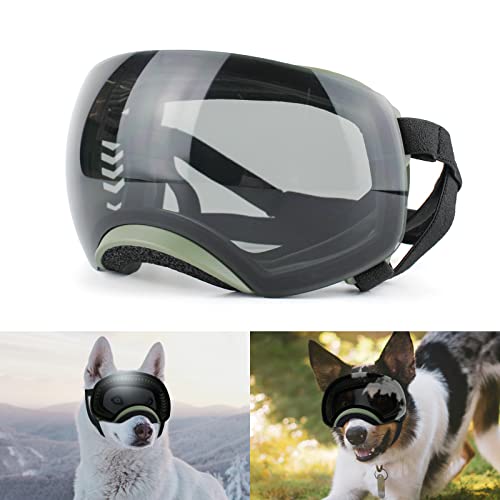 11 Best Dog Goggles [2022 Reviews] Dog Eye Protection!