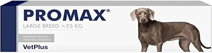Promax Nutritional Supplement for Large Dogs 30ml Syringe (Packaging ...
