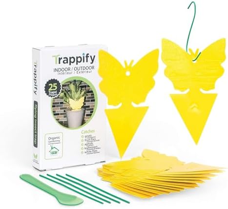 Amazon.com : Fruit Fly Trap for Indoors,2024 Upgrade Fruit Flies Gnat ...