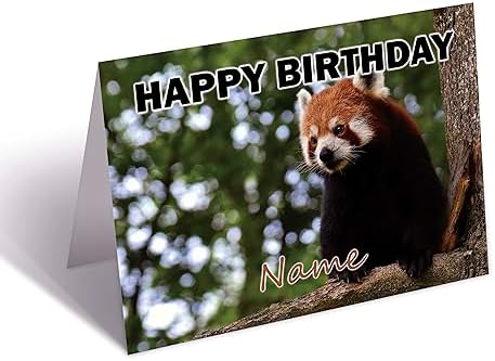 AK Giftshop Personalised Red Panda Birthday Greeting Card - Any Name ...
