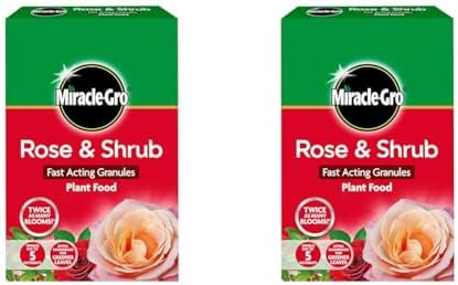 Miracle-Gro Rose and Shrub Fast Acting Granules Plant Food, 3 kg (Pack ...