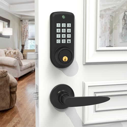 Smart Keypad Door Lock with Handle: NICE DIGI Keyless Entry Digital ...
