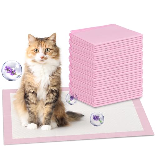 Pee Pads for Cats – The 15 best products compared - Wild Explained