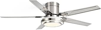 RIIGOOG Modern Low Profile Ceiling Fan with Light Stainless Steel 5 ...