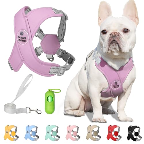 Chewy Dog Harness – The 15 best products compared - Wild Explained