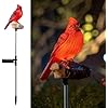 Amazon.com: Cardinal Solar Stake Lights for Outside with Simulated Call ...