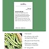 Amazon.com : Burpee Stringless Green Pod Bush Bean Seeds 8 ounces of ...