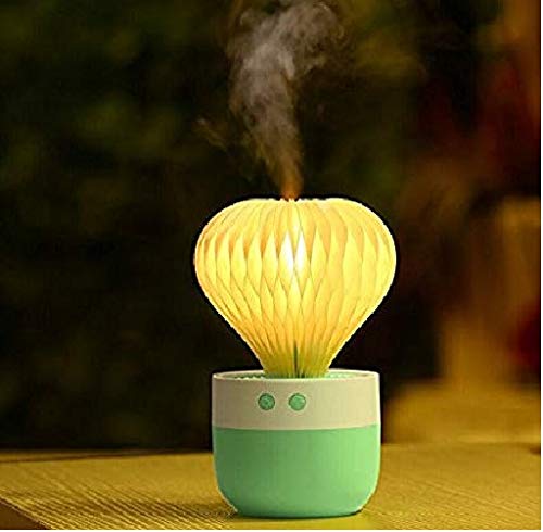 ALLWIN CACTUS NIGHT LIGHT HUMIDIFIER,MODERN OIL DEFUSER, COLOUR FULL ...