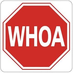 WHOA Stop Sign All Weather Barn PVC Sign : Amazon.co.uk: Home & Kitchen