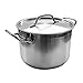 Amazon.com: 8 Qt Stainless Steel Stock Pot w/Cover : Home & Kitchen