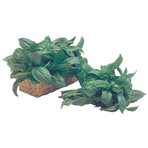 Amazon.com: PRODUCE Basil Varietal Bunch Cv Herb, 1 EA : Grocery ...