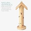 Amazon.com: Navaris Wooden Ladybug Habitat - Hanging Real Pinewood ...