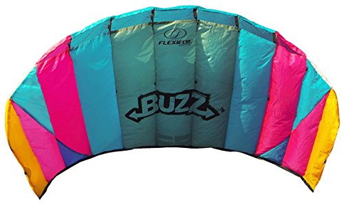 Best Kites for beginners - Which kite is most fun? - Jusifying Fun ...