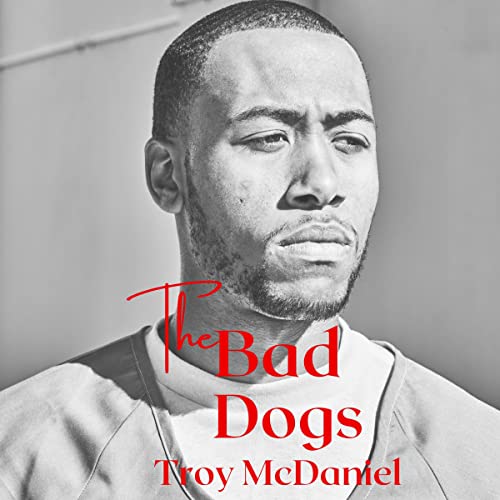 Amazon.com: The Bad Dogs: Experience Is the Best Mentor (Audible Audio ...