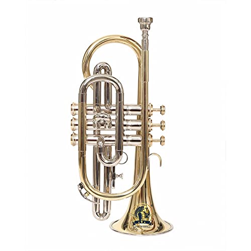 Amazon.co.uk Best Sellers: The most popular items in Cornets