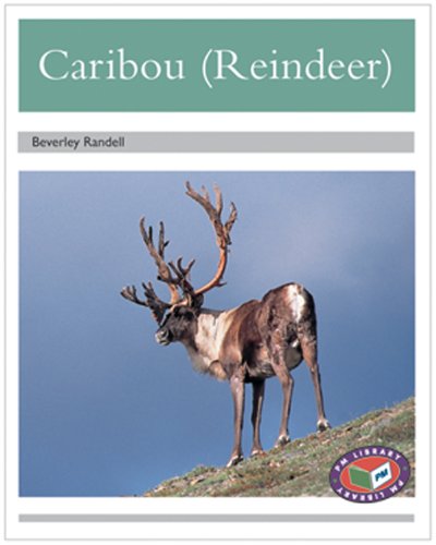 Caribou (Reindeer) PM Non Fiction Level 23&24 Silver: Animal Facts ...