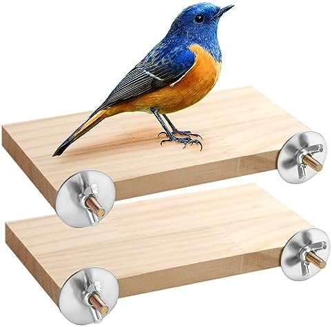 Bird Platform Natural Wood 4 PCS, Solid Wooden Birds Stand Parrot ...