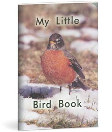 My Little Bird Book: Rod and Staff Publishers: 9780739924396: Amazon ...