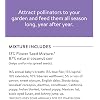 Burpee Perennial Wildflower Seed Mix for Pollinator Gardens