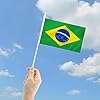 Amazon.com: 25 Pack Brazil Mini Flags, Brazilian Small Miniature Hand ...