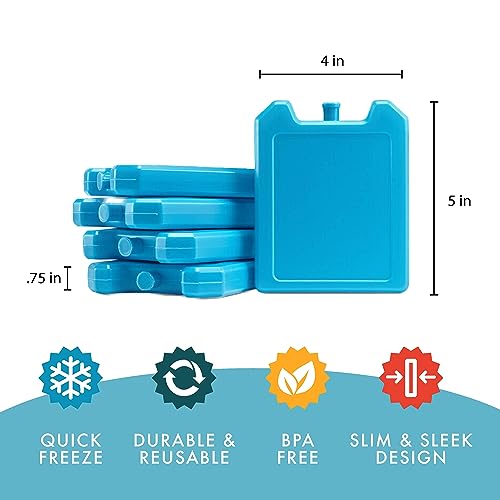 Snapklik.com : Cool Coolers By Fit + Fresh, 5 Pack Days Of The Week Ice ...