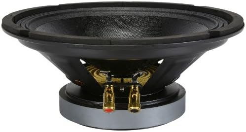 PYLE Pro PPA10 Professional Premium Pa Woofer, Black, one size : Amazon ...