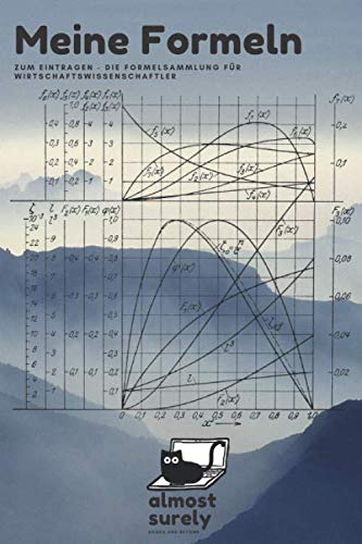 Meine Formeln - Die Formelsammlung für Wirtschaftswissenschaftler ...
