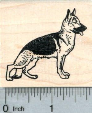 Amazon.com: German Shepherd Rubber Stamp, Dog Standing : Toys & Games