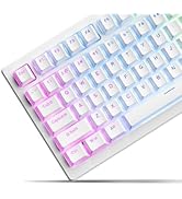 Amazon.com: HITIME x XVX Spider Web Keycaps 60 75 100 Percent - Shine ...