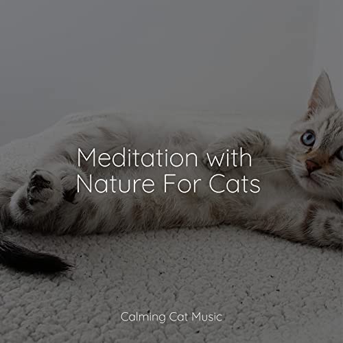 Amazon MusicでMusic for Cats Peace, Calm Music for Cats & Official Pet ...