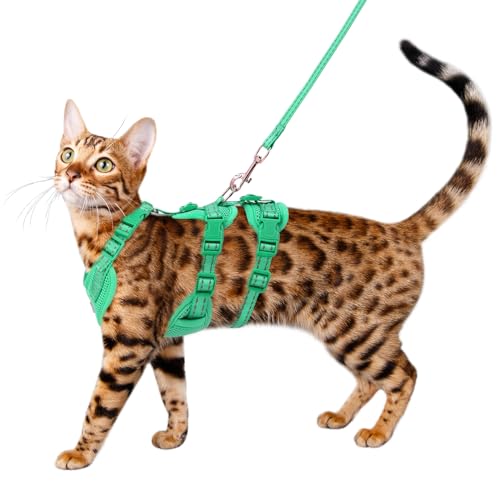 Escape Proof Cat Harness – The 15 best products compared - Wild Explained