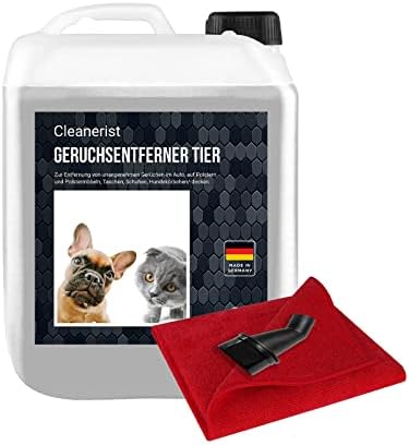 Katzenurin Aus Dem Teppich Entfernen