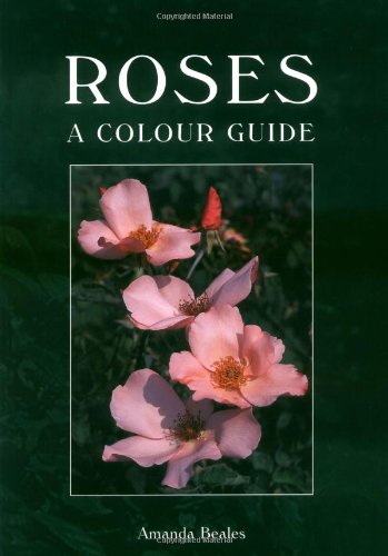 Roses: A Colour Guide: Beales, Amanda: 9781861268457: Amazon.com: Books