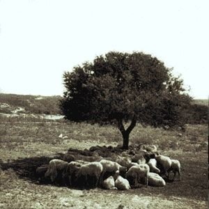 Jeff Martin - Still - Amazon.com Music