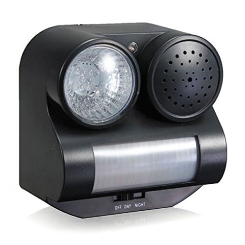 Bird Repeller PIR Motion Activated Sensor Repellent Deterrent Pigeon ...