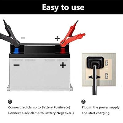 Buy BUDDYGO Car Battery Charger and Maintainer, 6A Fully Automatic ...