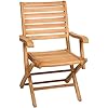 Amazon.com: TeakCraft Teak Folding Arm Chair - Single Arm Chair- Fully ...