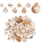 Amazon.com: PH PandaHall 32pcs Natural Shell Pendants, 4 Colors Scallop ...