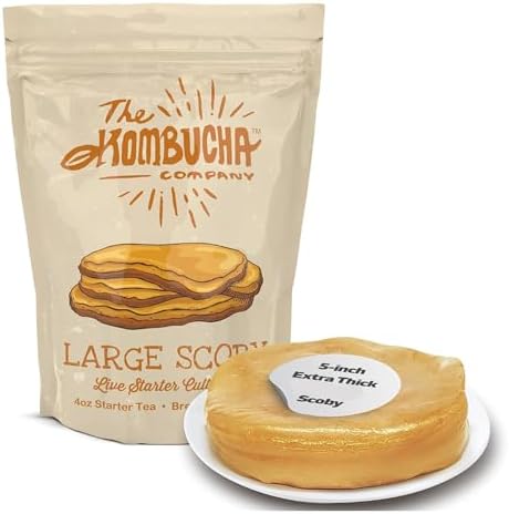 Amazon.com: Organic SCOBY Kombucha Starter Kit with Live Culture for ...