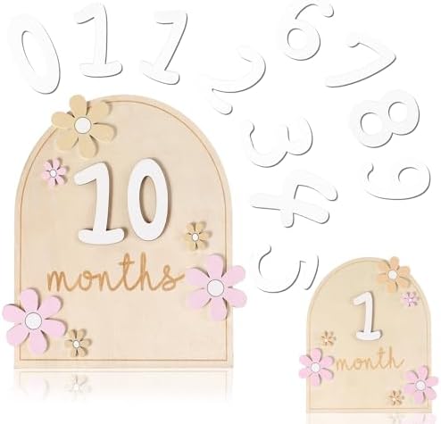 Amazon.com: Beeveer Baby Monthly Milestone Cards with 11 ...