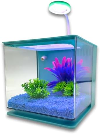 Bluepet BL-06 Modern Fish Tank with Curved Edge Design