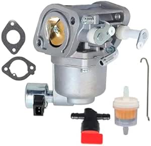 Amazon.com: WILD LOTION for Briggs & Stratton 597128 596375 40U777 ...