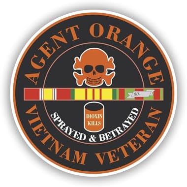 Amazon.com - Set of 2 Sticker VIETNAM COMBAT VETERAN with RIBBONS VET ...