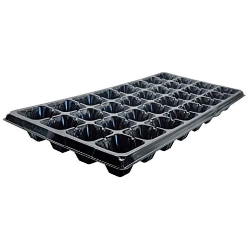 🌱Semillas para tu Huerto Urbano ⋆ Cultivar mi Huerto