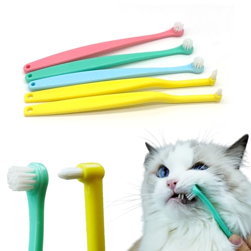 The Ultimate Guide To Cat Dental Hygiene: Top Cat Toothbrushes Revealed