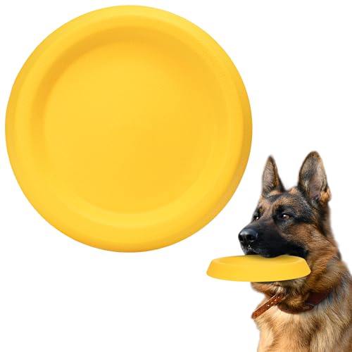 Amazon Best Sellers: Best Dog Flying Discs