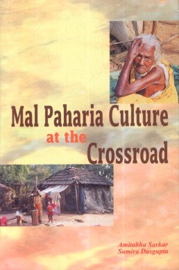 Buy Mai Paharia Culture at the Crossroads Book Online at Low Prices in ...